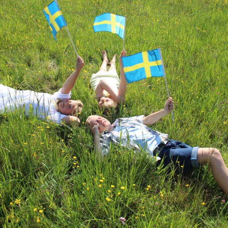 Flaggstänger, flaggor och vimplar | FlaggstångsExperten